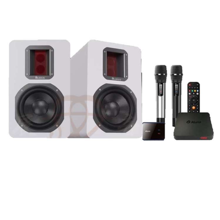 ibass歡唱喇叭 高CP值家庭KTV 卡拉ok喇叭搭配 KURO K歌歡唱專業版 CSM-202兩支麥克風 | 蝦皮購物