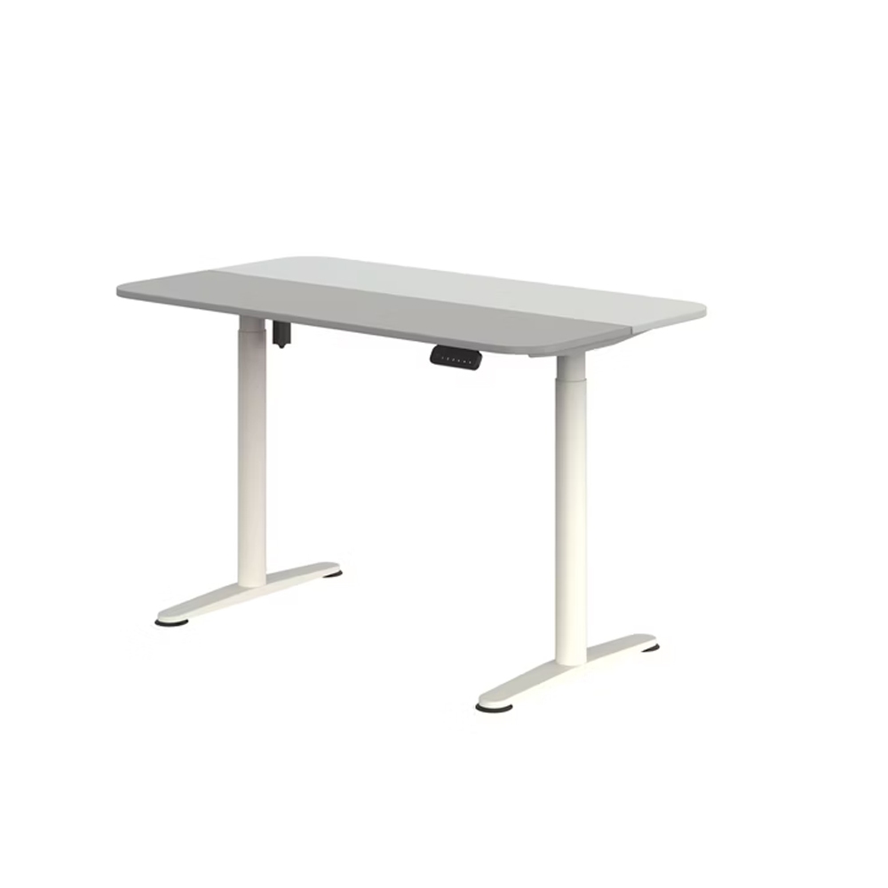 【BNS居家】Allround desk電動升降桌│台灣製│主體原廠保固│升降桌│自行組裝 | 蝦皮購物