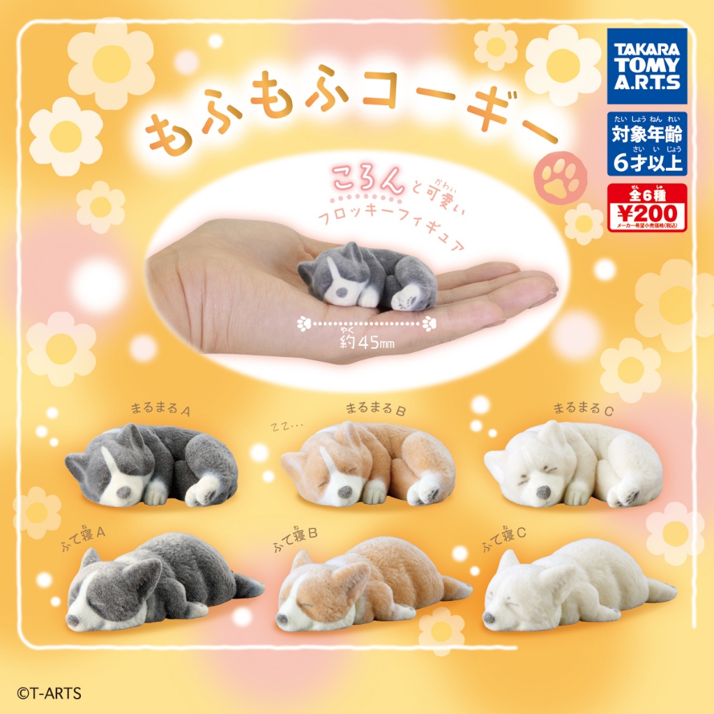 『Vic Toy』扭蛋 轉蛋 日版 TTA 植絨 毛茸茸柯基 柯基犬 睡覺 動物 狗 公仔 多件優惠 | 蝦皮購物