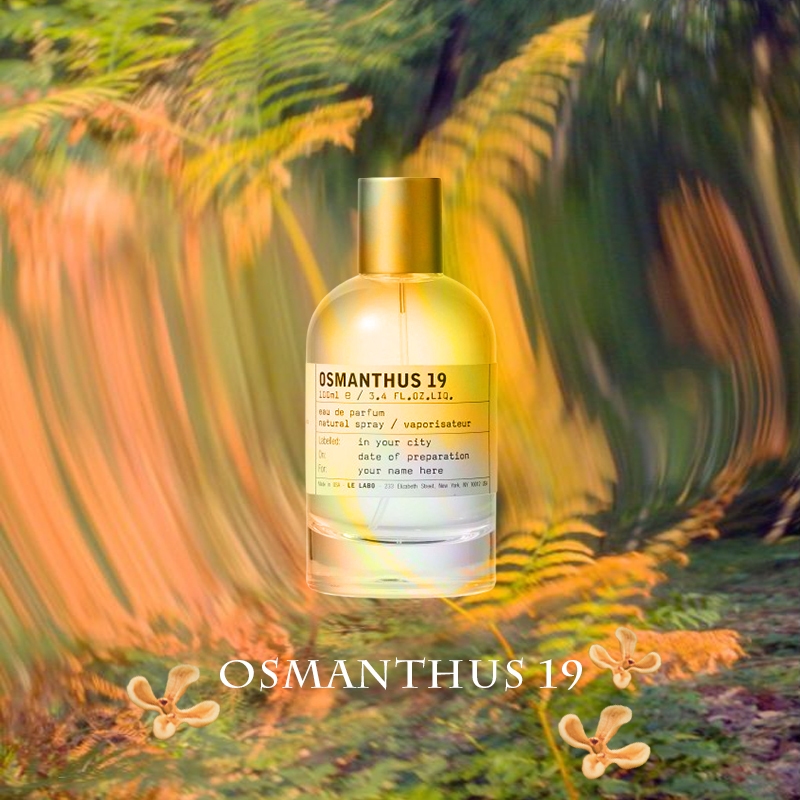 京都桂花 Le Labo Osmanthus 19 金木樨盛開，薰衣草和焚香，這是京都的俳句 | 蝦皮購物