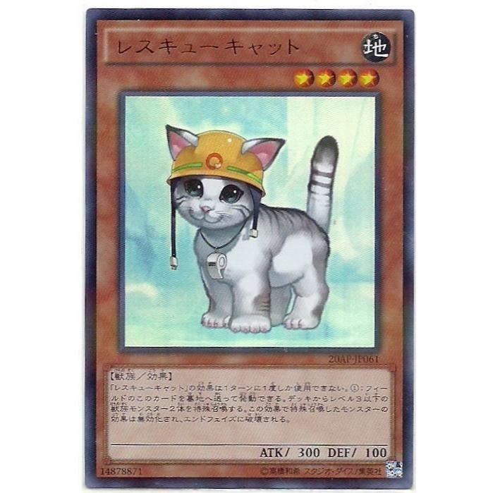 【楓卡舖】遊戲王 20AP-JP061 救援貓 (普卡/金亮)12搜尋FET-JP033 EE3-JP15 | 蝦皮購物