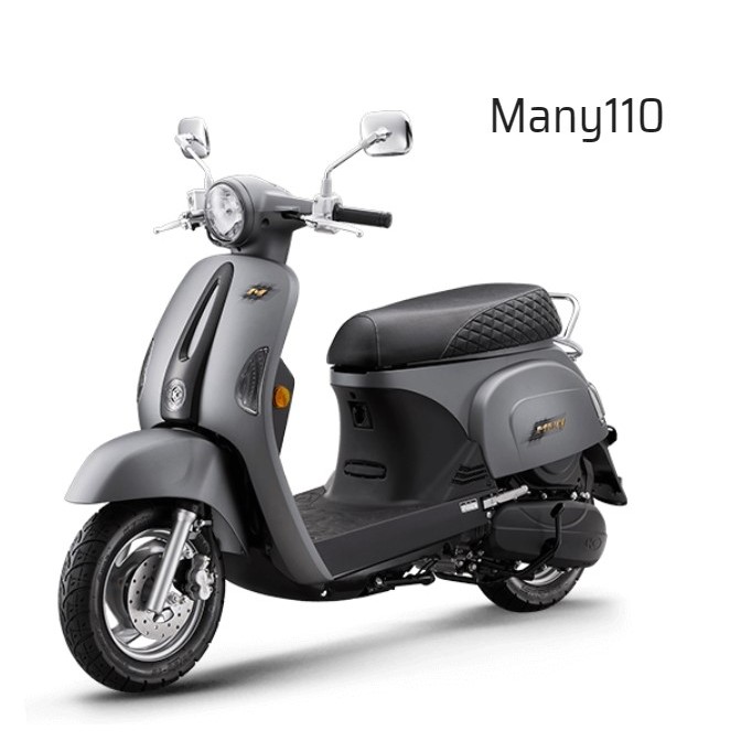 客訂賣場 Many110 原廠 座墊黑色 SE22BS SE22BP | 蝦皮購物