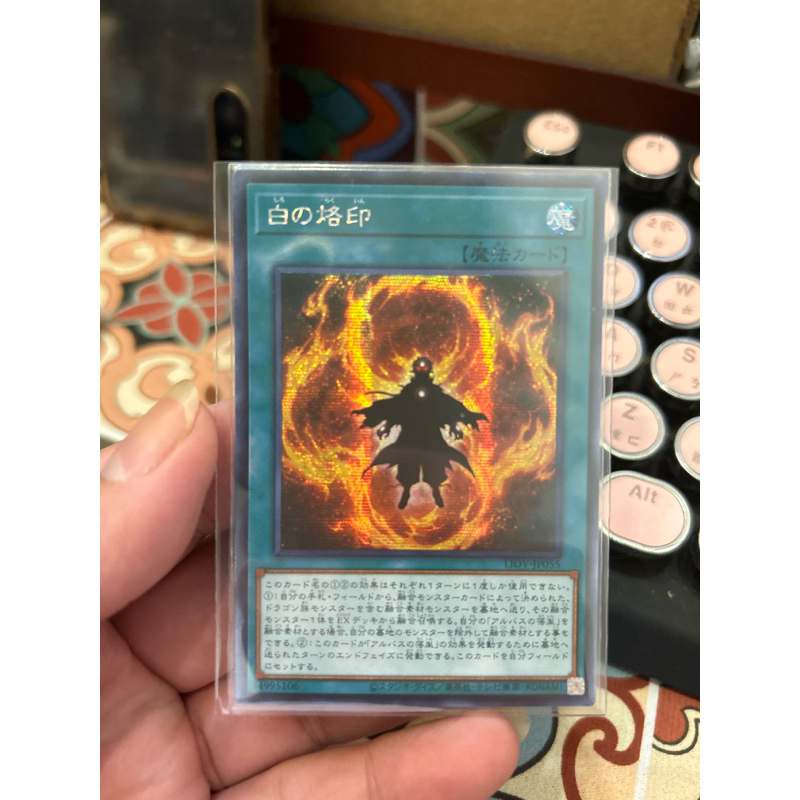 遊戲王 LIOV-JP055 白之烙印 (半鑽) | 蝦皮購物