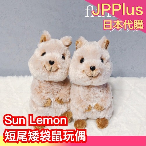 日本 Sunlemon 短尾矮袋 玩偶 捲曲 擬真 Fluffies 微笑 袋鼠 娃娃 quokka 送禮 療癒小物 | 蝦皮購物