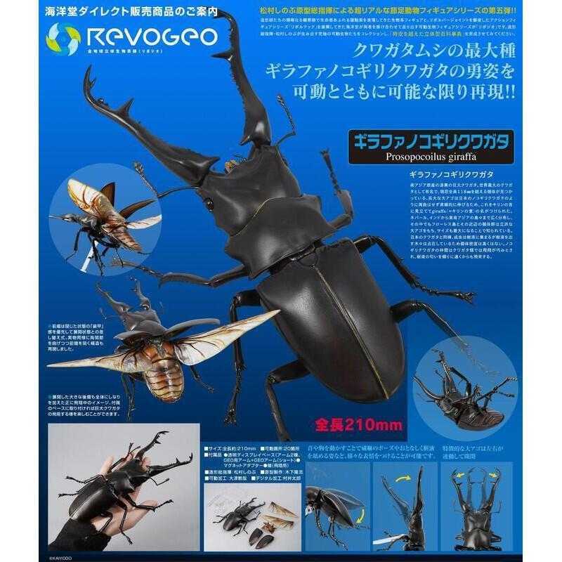 「VIC TOY」代理版 海洋堂 山口式輪轉 REVO GEO Vol.5 長頸鹿鋸鍬形蟲 現貨 | 蝦皮購物