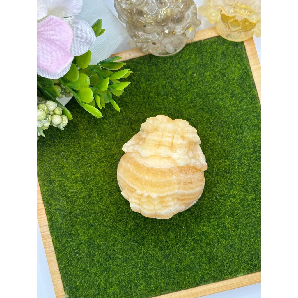 0543 黃方解石 龍龜 長46/寬42/高35 mm | 蝦皮購物