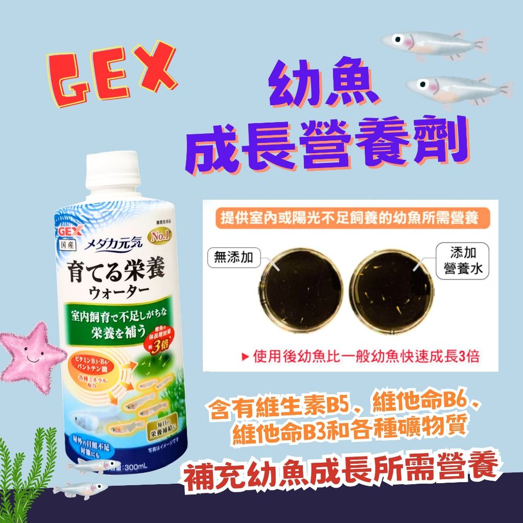 日本 GEX-五味 幼魚成長營養劑 (300ml)營養補充 礦物質 維他命 仔魚 幼魚 孔雀魚 鬥魚 星星水族 | 蝦皮購物