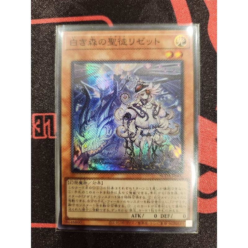 遊戲王 白之森的聖徒 莉賽特 亮面 SUDA-JP008 二手 現貨 | 蝦皮購物