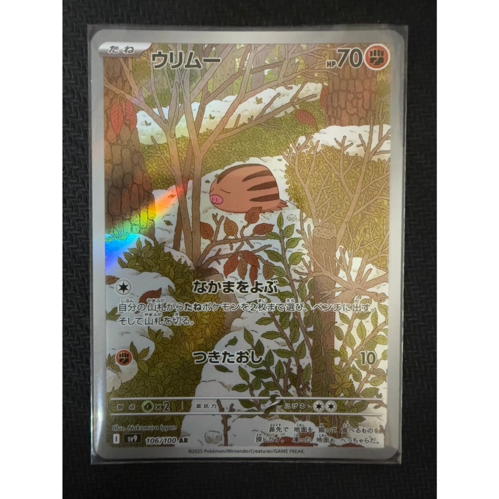 《黑烈空之家》寶可夢 日版 對戰夥伴 SV9 106/100 AR 小山豬 | 蝦皮購物