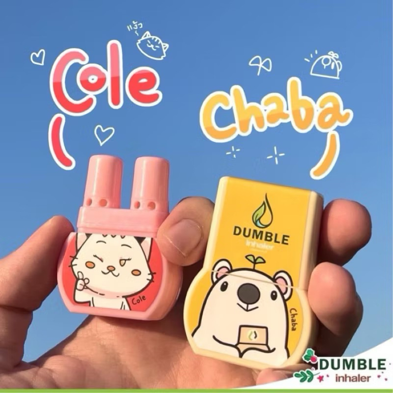 🏆現貨速寄｜ 泰國Inhaler 草本清香 薄荷棒 鼻吸棒 鼻通 提神 | 蝦皮購物