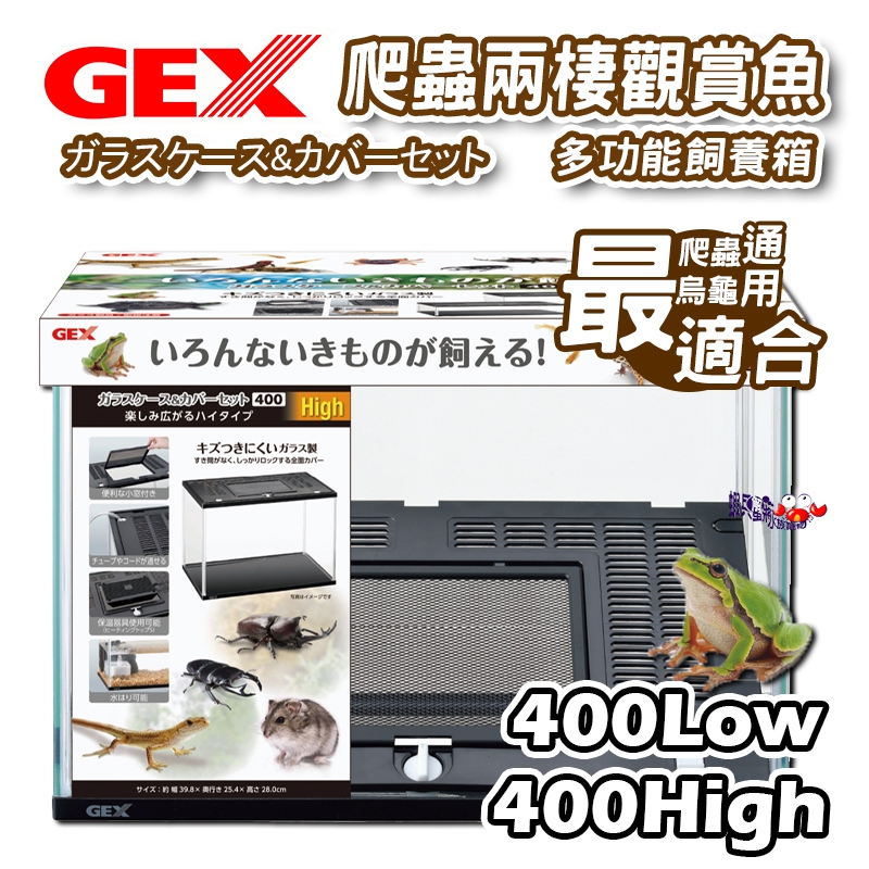 蝦兵蟹將【日本 GEX-五味】爬蟲兩棲觀賞魚多功能飼養箱(一個) 爬蟲缸 飼養缸 水龜 角蛙 守宮 獨角仙 寵物箱 | 蝦皮購物