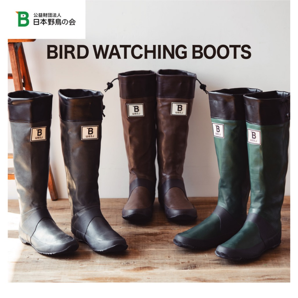 DoReFe | WBSJ日本代購 顏質高的雨鞋 來自日本野鳥協會 雨鞋 男女可穿 | 蝦皮購物