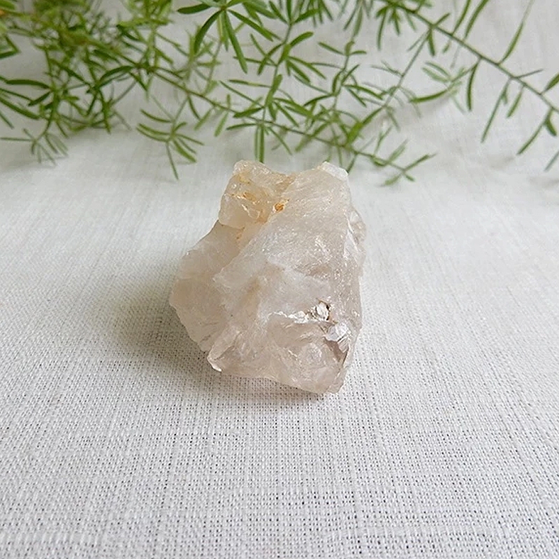 【2075水晶礦石】巴西鱷魚骨幹水晶 / 骨骸水晶 鱷魚皮骨幹水晶 -11-0525 | 蝦皮購物