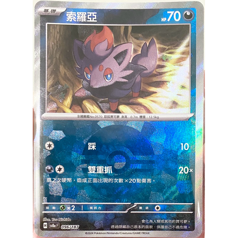 PTCG 中文版 sv8af sv8a 096/187 索羅亞 精靈球 精靈球閃 | 蝦皮購物
