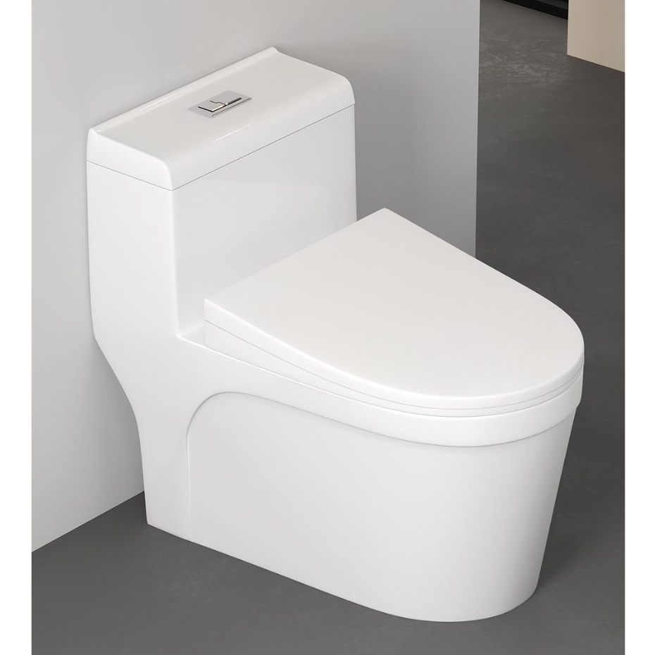 【C-530單體馬桶】 水龍捲抗污單體馬桶！#同TOTO水箱零件國際大廠WDI#水龍捲#單體馬桶#智潔釉# 原廠保固一年 | 蝦皮購物