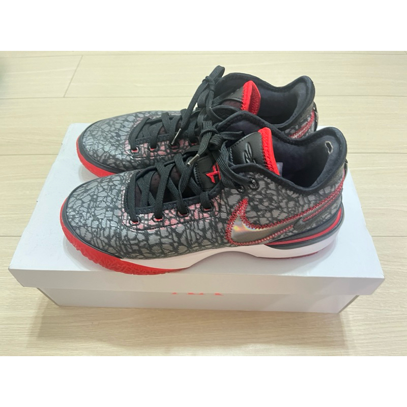 Nike LBJ 20 二手 10.5號 籃球鞋 Zoom LeBron NXXT Gen EP 男 黑紅 氣墊 | 蝦皮購物