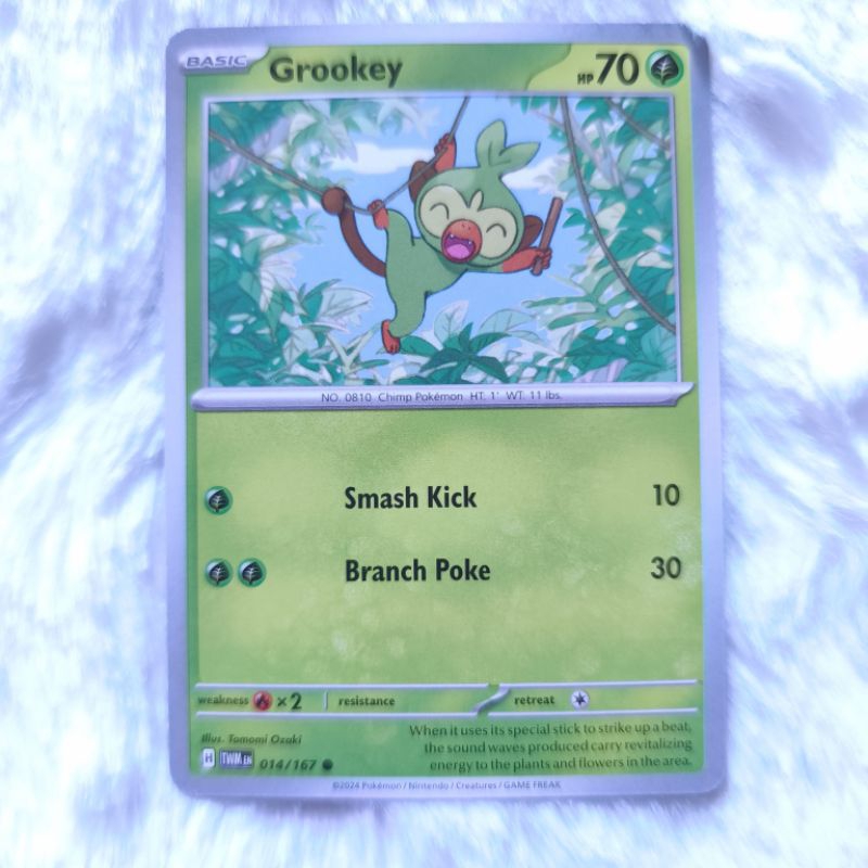 BASIC Grookey common Pokémon Cards PTCG | 蝦皮購物