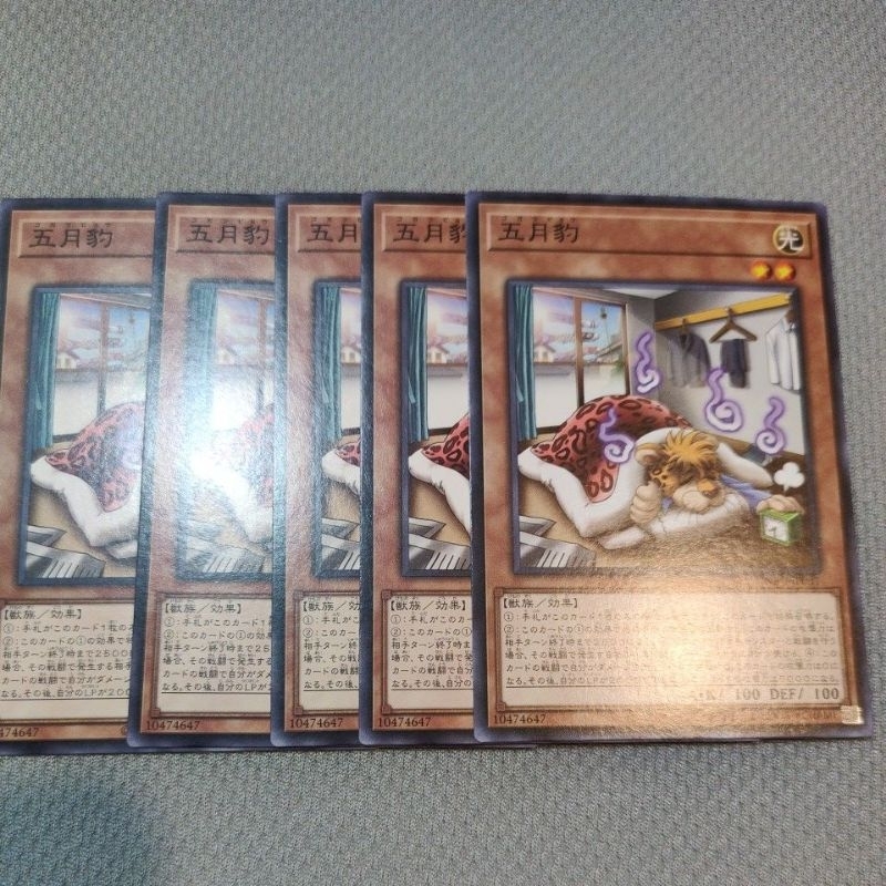 遊戲王 日版 INFO-JP031五月豹 普卡 五張一組 | 蝦皮購物