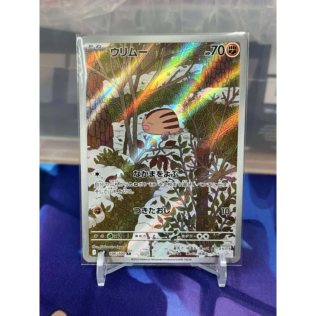 【綠毛蟲卡舖】PTCG 寶可夢 日版 對戰夥伴 小山豬 AR sv9 106/100 | 蝦皮購物