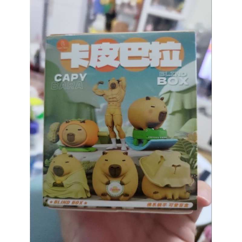 LUCK MOAI 卡皮巴拉 水豚 系列盲盒確認款 | 蝦皮購物