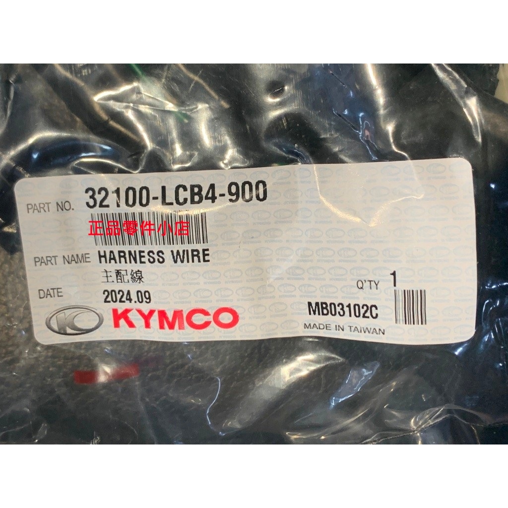 光陽正品 LCB4 主配線 主電路配線 JR 100 | 蝦皮購物