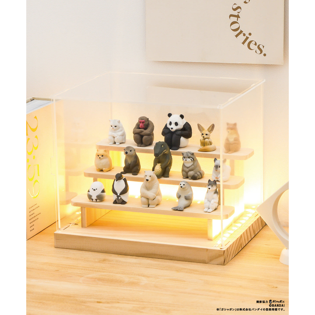 ︎台灣現貨 快速出貨 ︎ 日本連線 日本代購 3COINS LED 透明展示盒 | DIY 膠囊玩具收藏展示箱 | 蝦皮購物