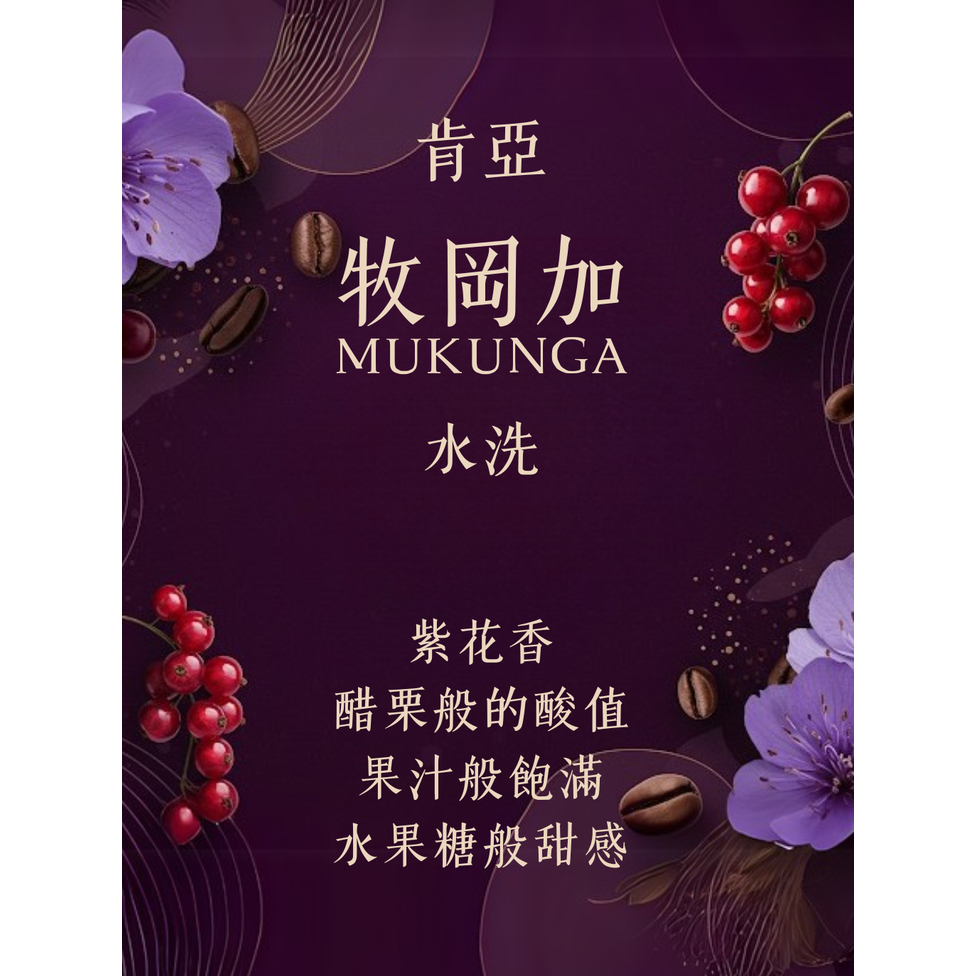 肯亞 牧岡加 MUKUNGA 水洗 | 蝦皮購物