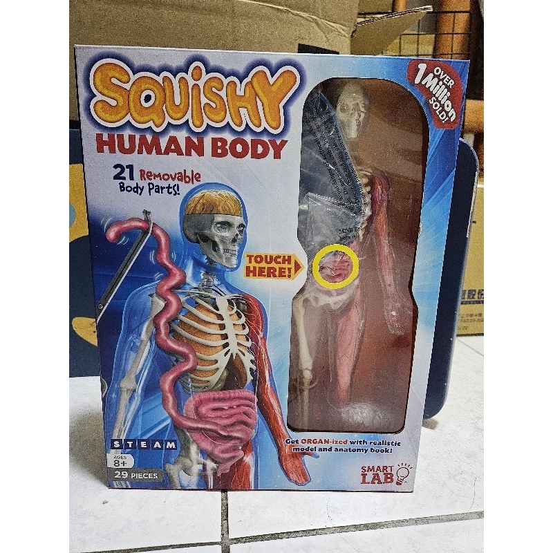 《全新》Smartlab 超擬真人體模型遊戲組 BSquishy Human Body(STEAM人體大發現) | 蝦皮購物