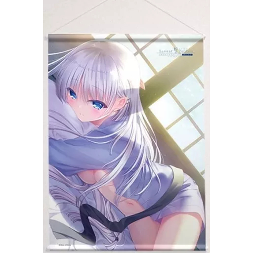 Summer Pockets REFLECTION BLUE 掛軸 B2 鳴瀬しろは | 蝦皮購物