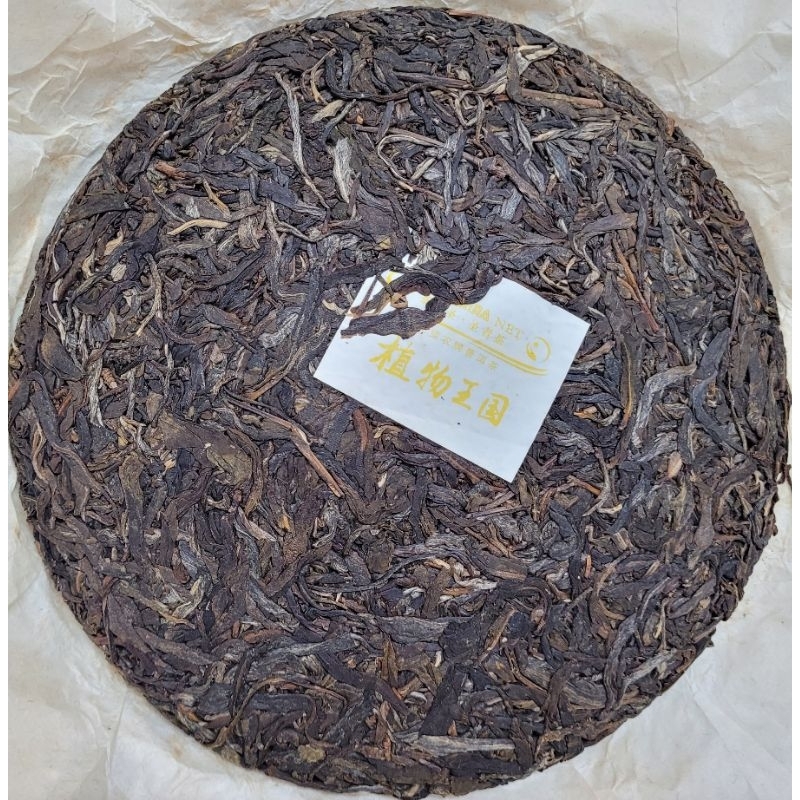 [洪聲普洱茶二號店] 藝術品 2020 挑採 昔歸 200年 大樹茶 357g 生餅 | 蝦皮購物