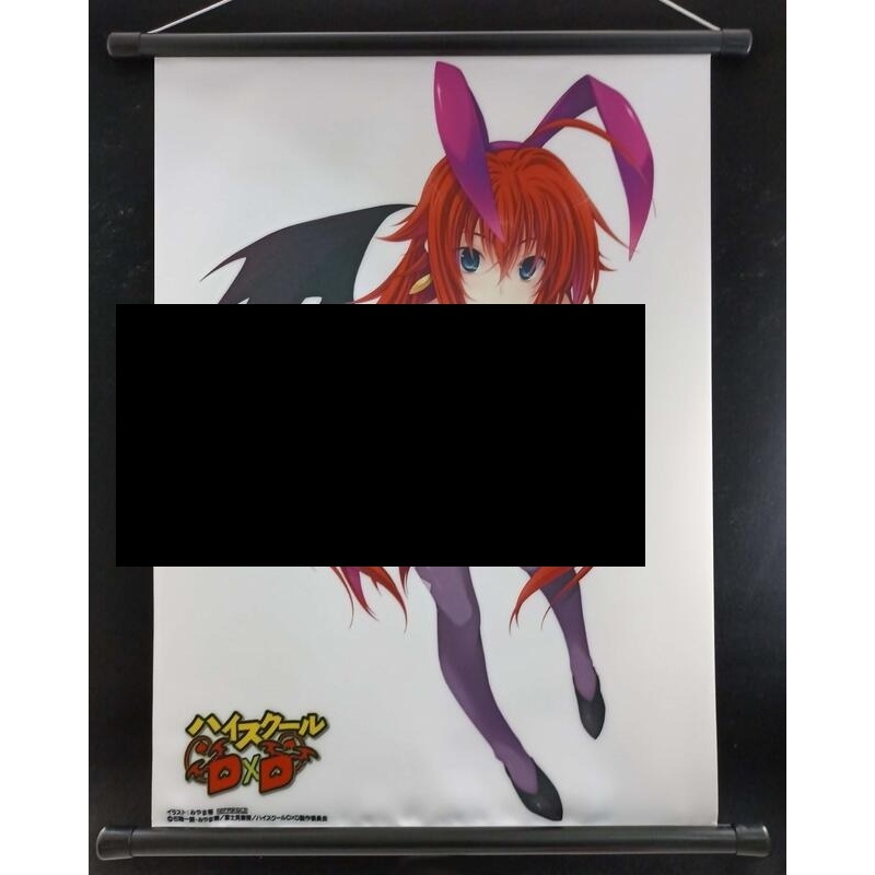 【旅人事務所】粉絲回饋特價 日本Sofmap BD 購入限定 特典 惡魔高校D×D 紅髮滅殺姬- 莉雅絲·吉蒙里 掛軸 | 蝦皮購物