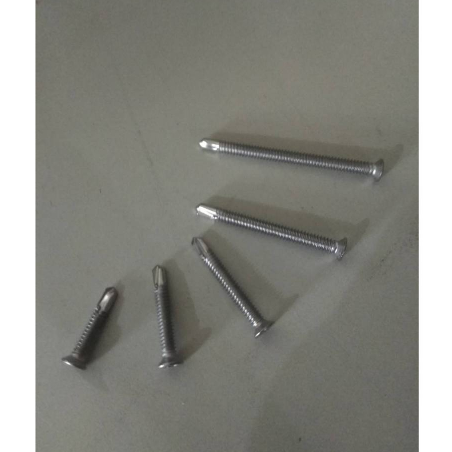 【susumy】10支售 不鏽鋼 白鐵皿頭自攻釘 10#平頭自攻釘 平頭螺絲 鑽尾螺絲 沙拉頭 自攻牙螺絲 | 蝦皮購物