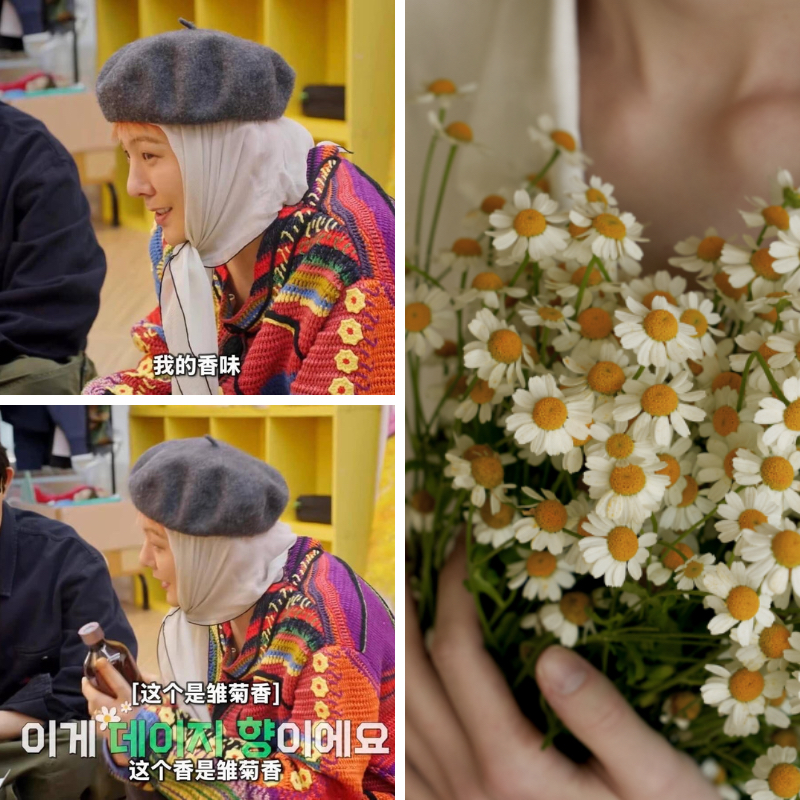 GD綜藝同款🇰🇷韓國hetras絕美擴香🌼雛菊香氣 家居擴香 居家香氛 擴香瓶 500ml*2 權志龍同款 | 蝦皮購物