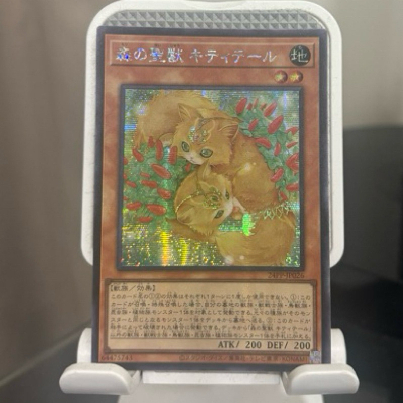 遊戲王 24PP-JP026 森之聖獸 貓尾草貓 銀字半鑽 美品 | 蝦皮購物