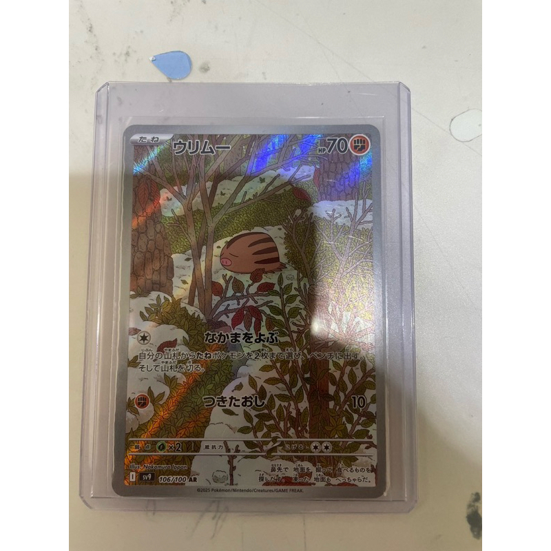 小山豬 AR 日版 sv9 106/100 | 蝦皮購物