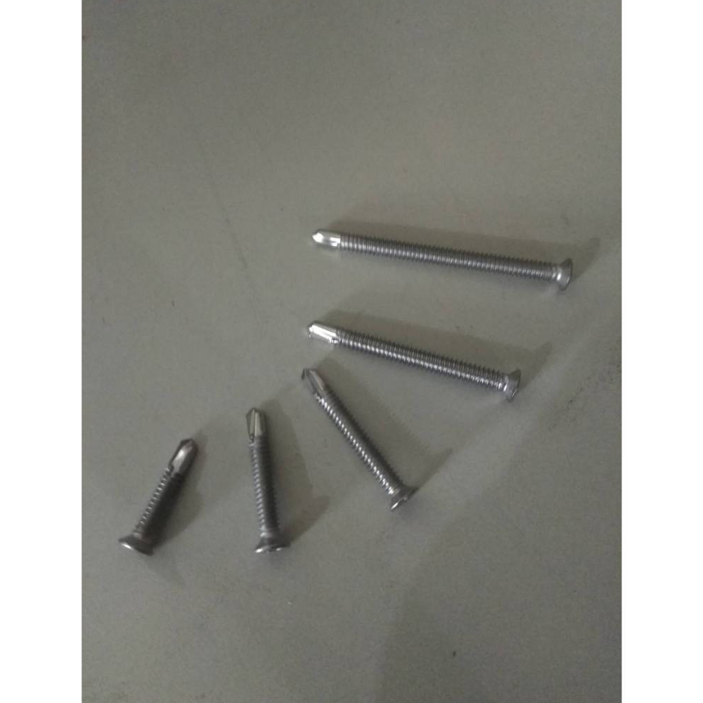 【joburly】10支售 不鏽鋼 白鐵皿頭自攻釘 10#平頭自攻釘 平頭螺絲 鑽尾螺絲 沙拉頭 自攻牙螺絲 | 蝦皮購物