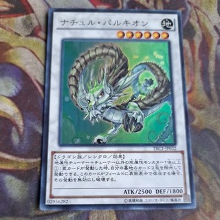 卡片屋 遊戲王 亮面 自然神龍 TRC1-JP032 | 蝦皮購物