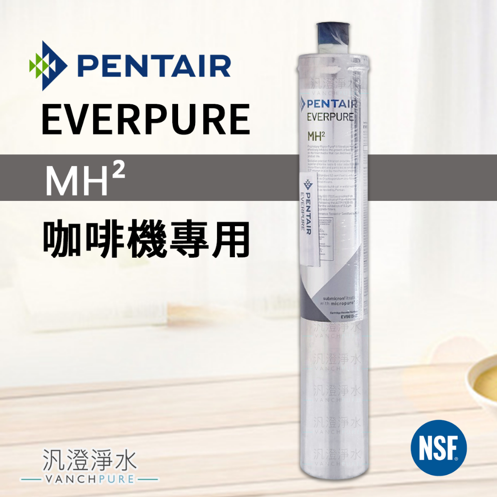 【汎澄淨水】愛惠浦 EVERPURE 咖啡機專用 餐飲業 商用 MH² / MH2 濾芯 / 濾心 美國原裝進口 平輸品 | 蝦皮購物