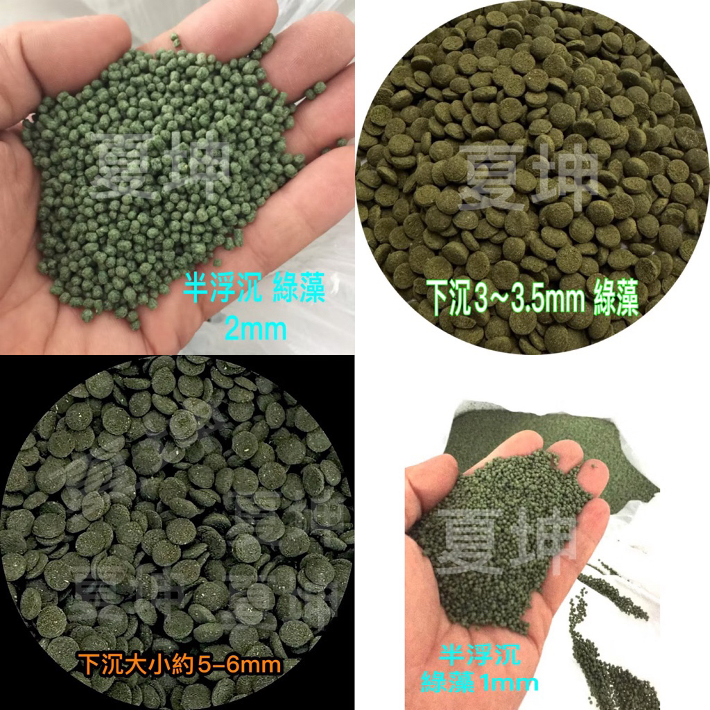 夏坤-上浮綠藻2mm .1mm、下沉螺旋綠藻3mm. 1kg | 蝦皮購物