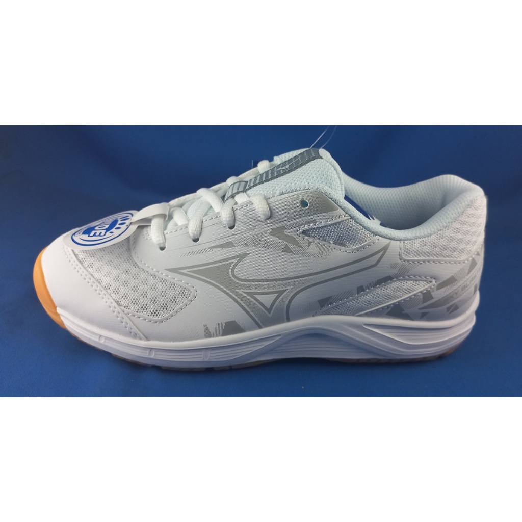 快速出貨 美津濃 MIZUNO 3E寬楦排球鞋 羽球鞋 SKY BLASTER 4 型號 71GA253310[184] | 蝦皮購物