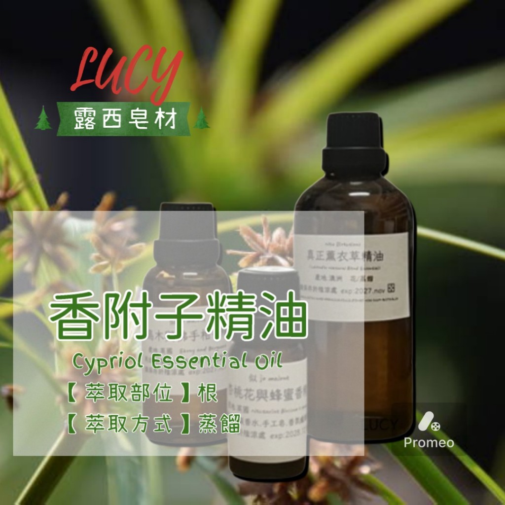 【露西皂材】香附子精油 Cypriol Essential Oil (莎草精油) | 蝦皮購物
