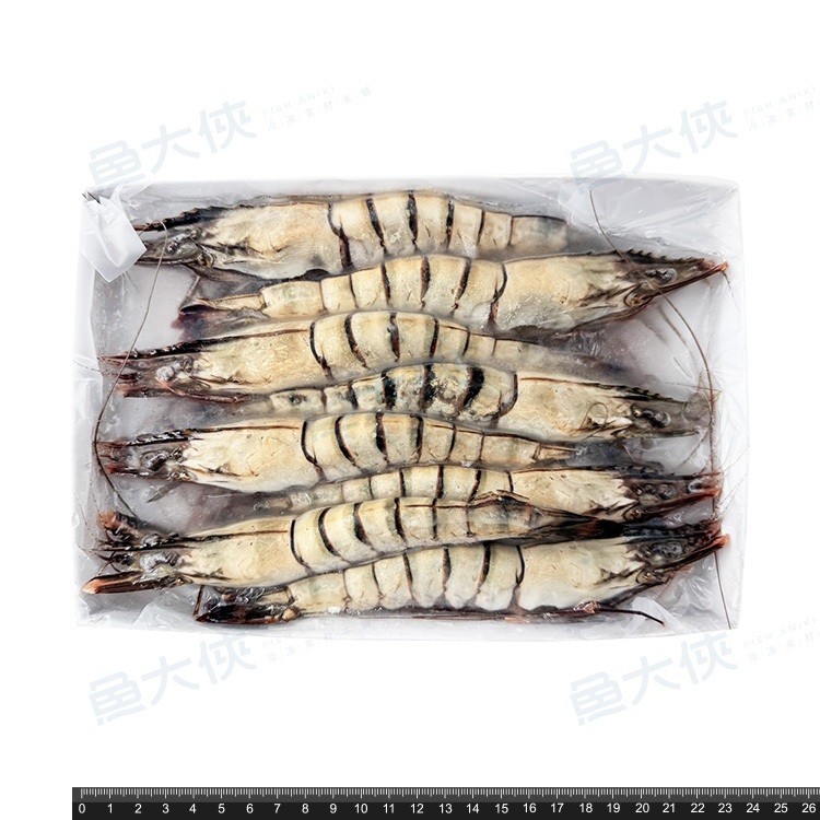 野生海草蝦 8P裝(實重420g/8尾/盒)#420-1D3B【魚大俠】SP152 | 蝦皮購物