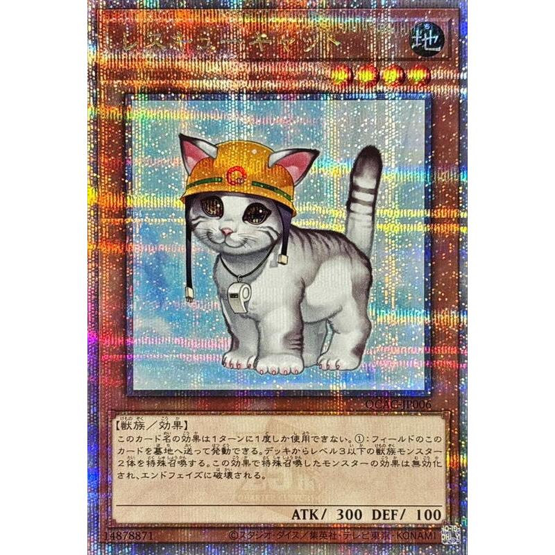 遊戲王 QCAC-JP006 救援貓 (金鑽) | 蝦皮購物