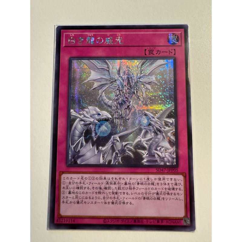 「波奇家」遊戲王 SD47-JPP05 白之龍的威光 半鑽 | 蝦皮購物