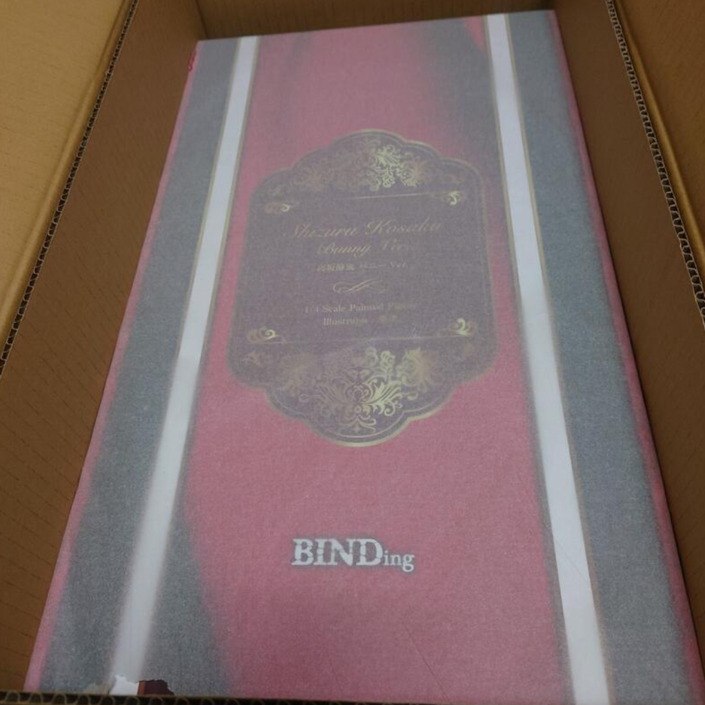 【台北京站模型 現貨】全新 Native BINDing 高坂静流 兔女郎 對魔忍RPGX 1/4 PVC | 蝦皮購物