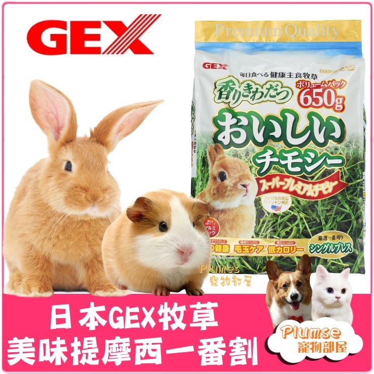日本 GEX 美味提摩西一番割650g 提摩西一割 兔子 天竺鼠 龍貓 牧草 寵兔牧草 提摩西草【Plumes寵物部屋】 | 蝦皮購物