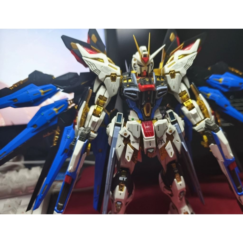 全場最低 已組 evo 水貼 滲線 消光 完成品 銓鑫 五金 ko mgex 攻擊自由 鋼彈 無缺無損 送合金替換件 | 蝦皮購物