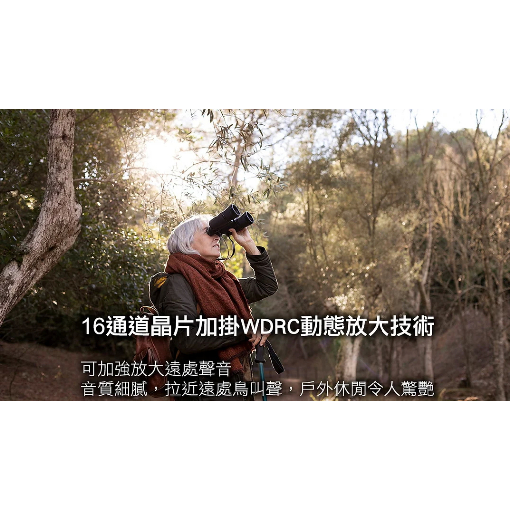 志達電子 ToPlay 聽不累® TrueOpen HL268 聽力擴增器 | 蝦皮購物