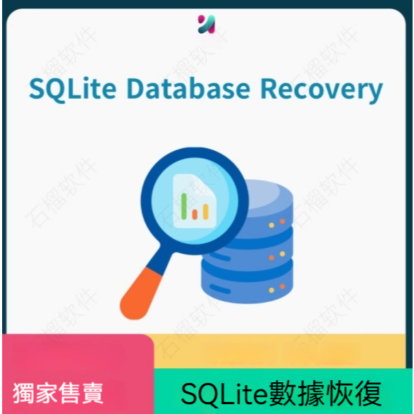 SQLite Database Recovery for Win SQLite數據庫恢複MDB數據恢複 | 蝦皮購物