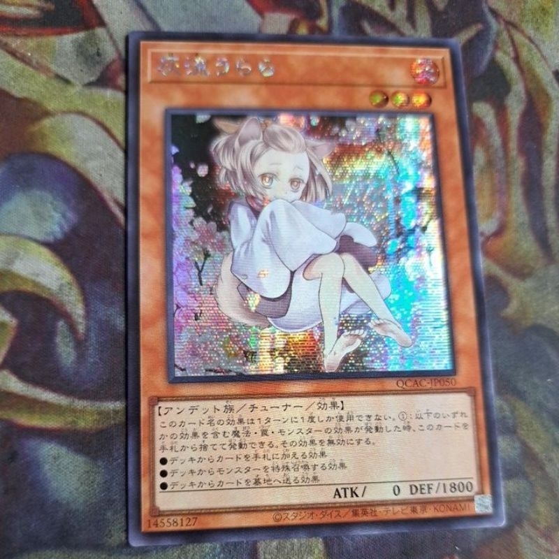 卡片屋 遊戲王 異圖半鑽 灰流麗 QCAC-JP050 | 蝦皮購物
